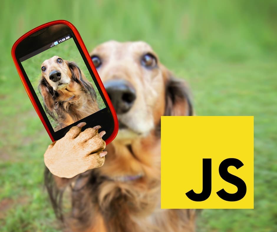 How to Access Device Cameras with JavaScript (Front and Rear) | Web Dev Drops